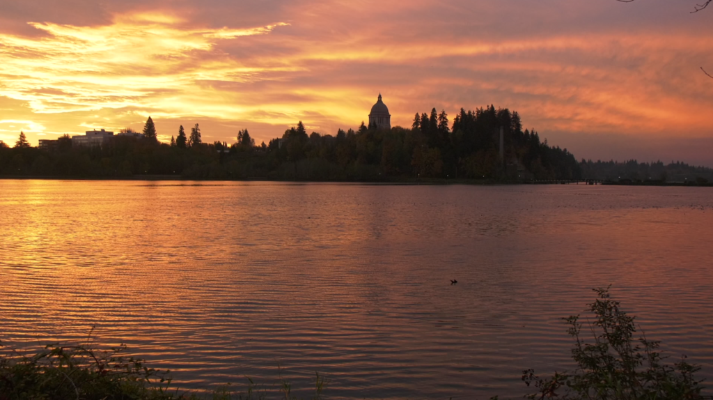 The Impact – Agency Recommends Eliminating Capitol Lake and Restoring ...